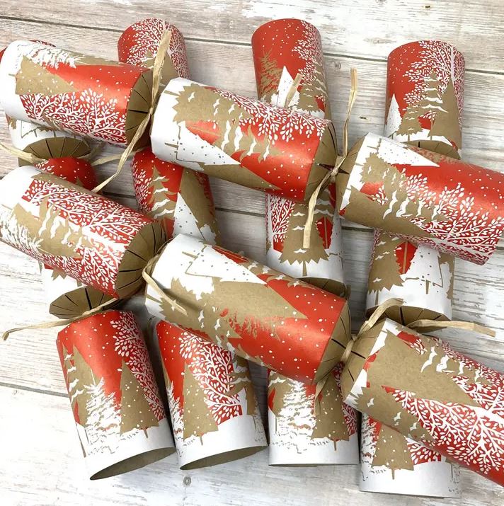 Earthbits Plastic Free Christmas Crackers